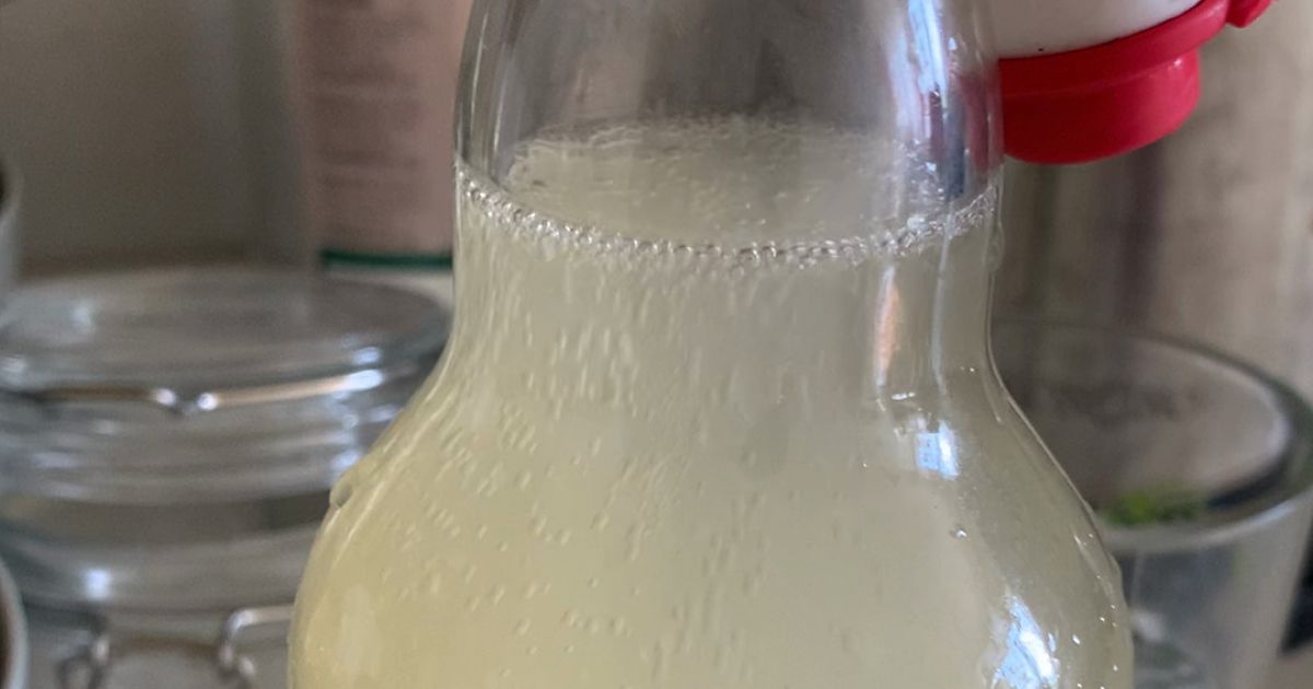 How to Make Ginger Beer with a Ginger Bug Starter