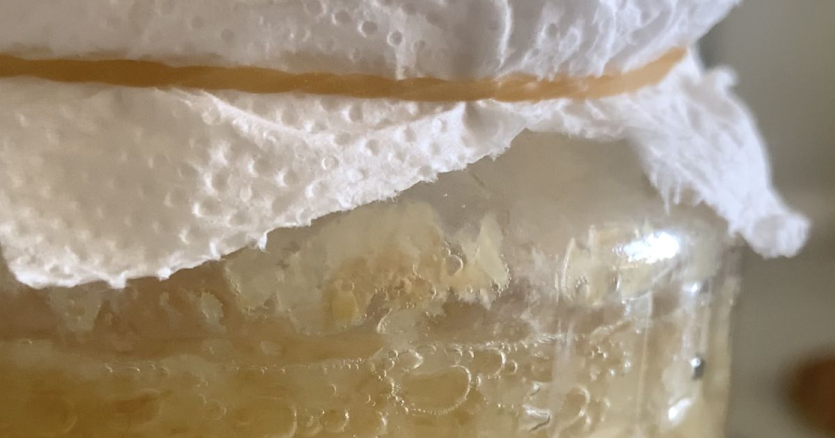 How to Make a Ginger Bug – Wild Starter for Fizzy Drinks